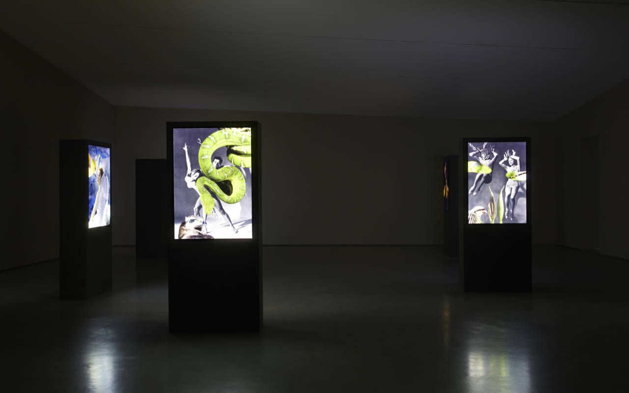 Artist Linder Sterling - The Hepworth Wakefield