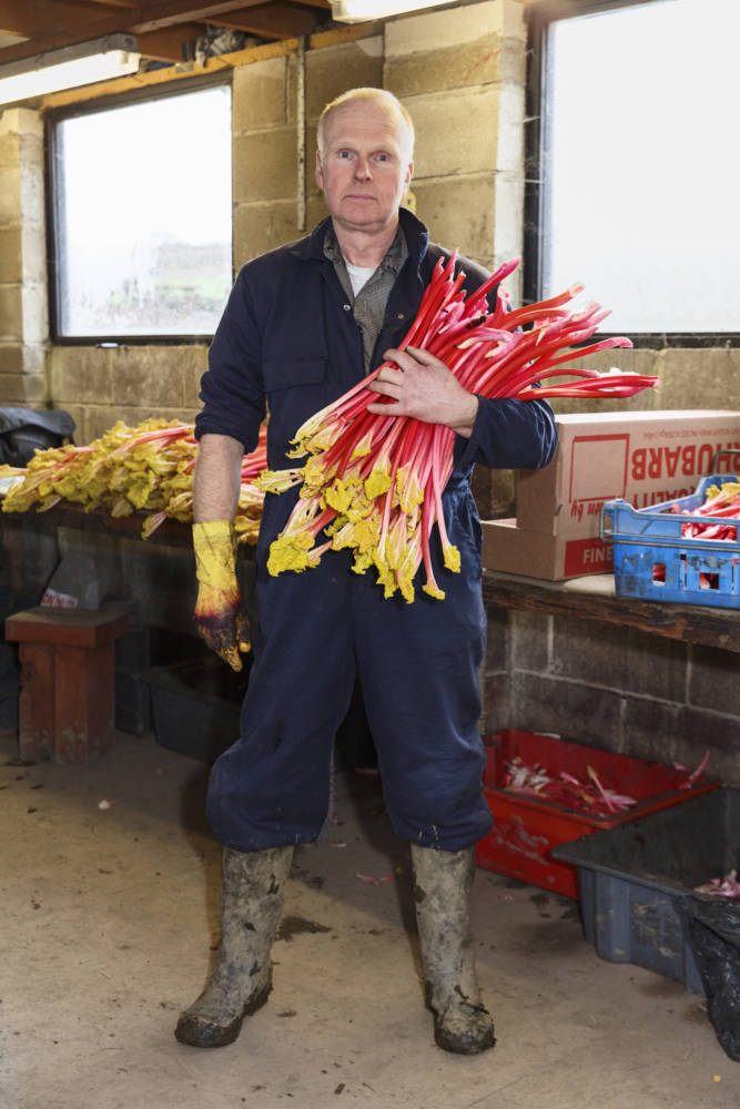 Martin Parr - The Hepworth Wakefield collection highlights
