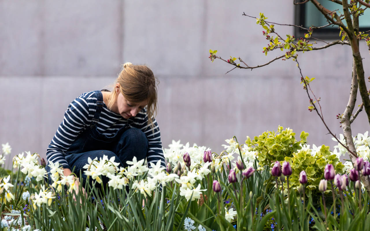 Autumn Colour: Garden Tour with Cultural Gardener Katy Merrington | The ...