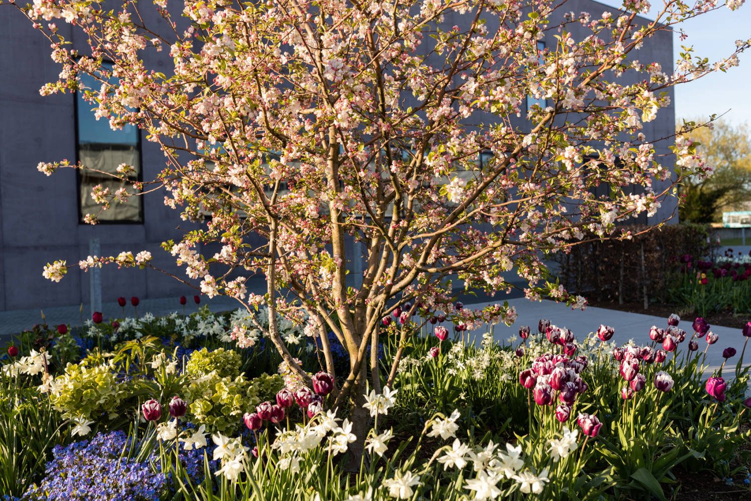 Spring Flower Festival | The Hepworth Wakefield
