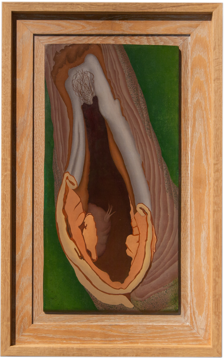 The Jeffrey Sherwin & Family Collection | The Hepworth Wakefield