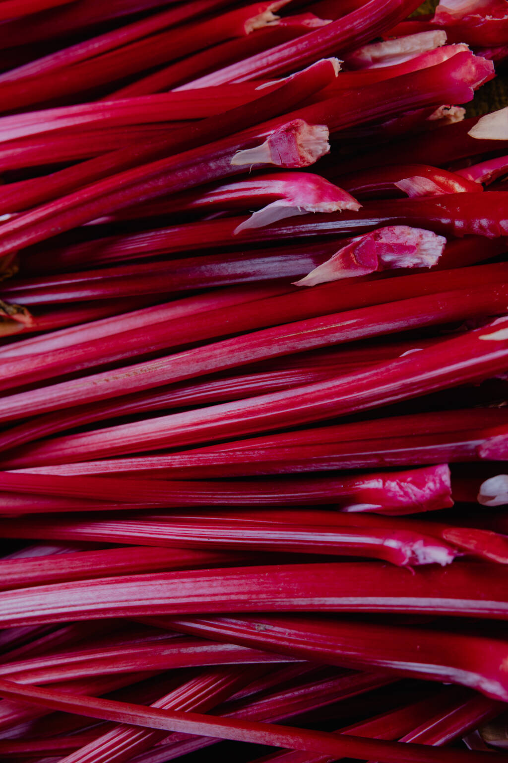 House of Makers: Rhubarb Festival | The Hepworth Wakefield