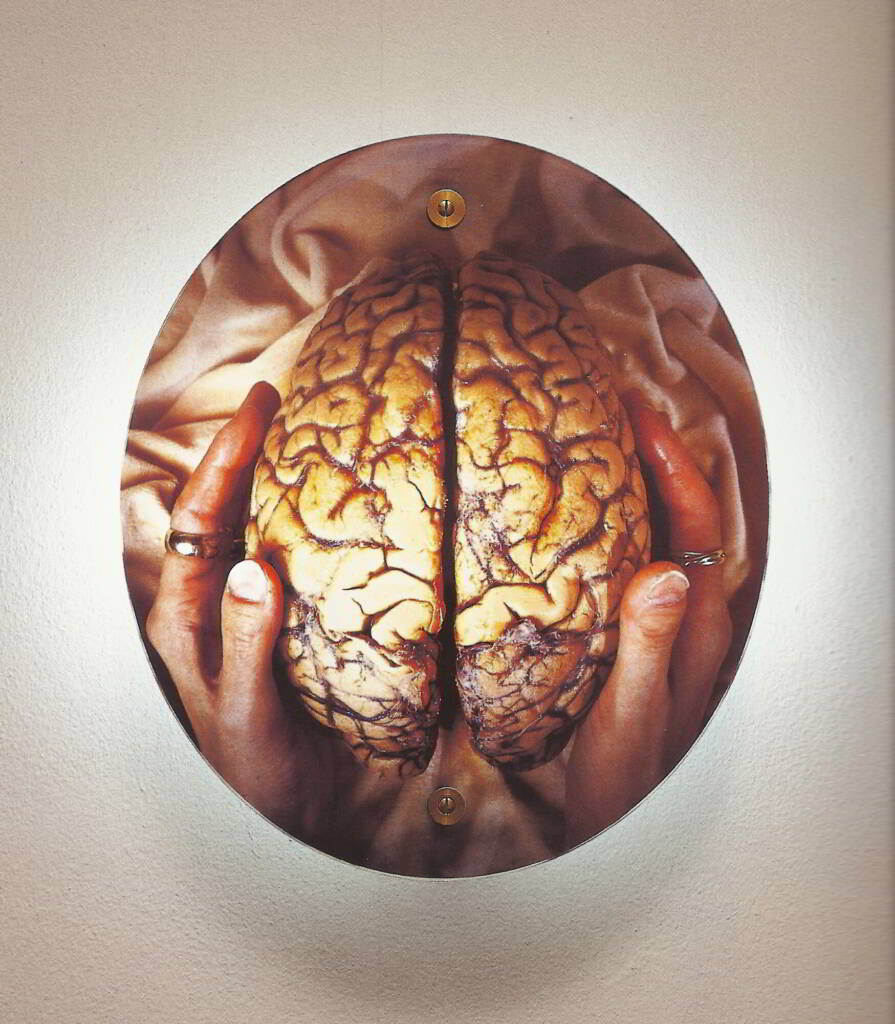 This major Helen Chadwick retrospective will be the first in over 25 ...