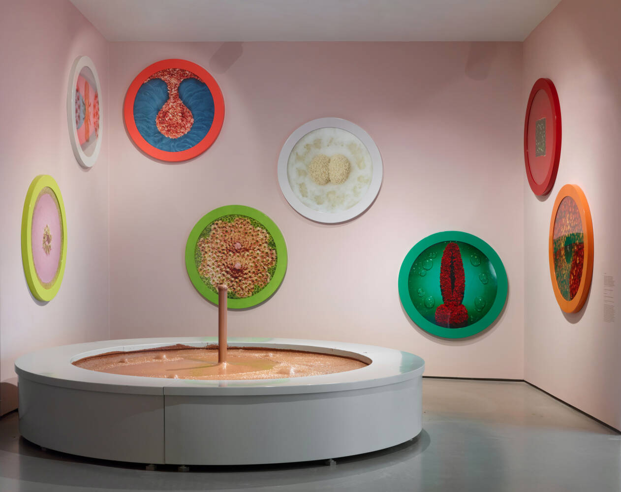 This major Helen Chadwick retrospective will be the first in over 25 ...