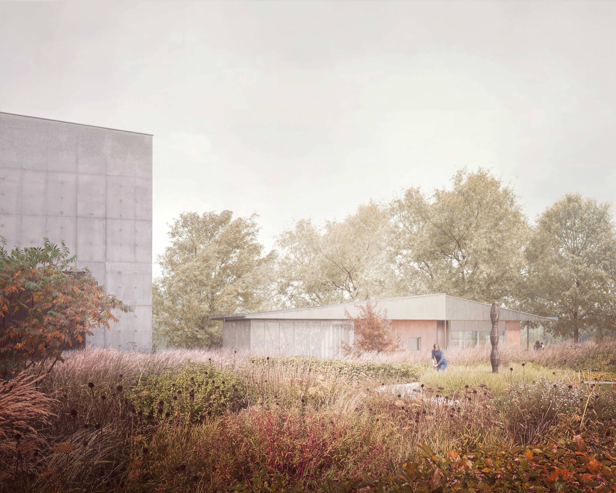 Work to build a garden workshop and yard designed by Mary Duggan ...